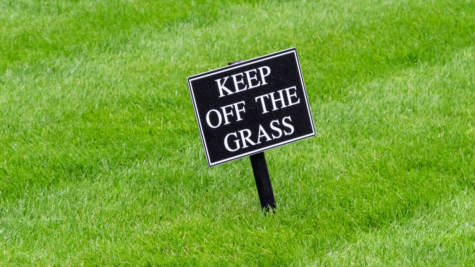 11 Hobbies People Think Are the Most Boring Things You Can Do